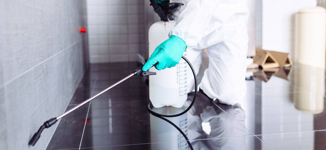 Mosquito Control & Treatment in San Jose, CA